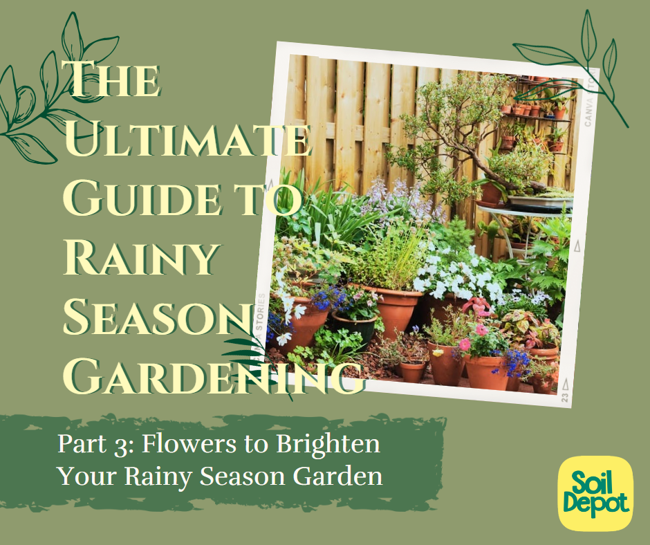 The Ultimate Guide to Rainy Season Gardening: Part 3 – Flowers to Brig ...