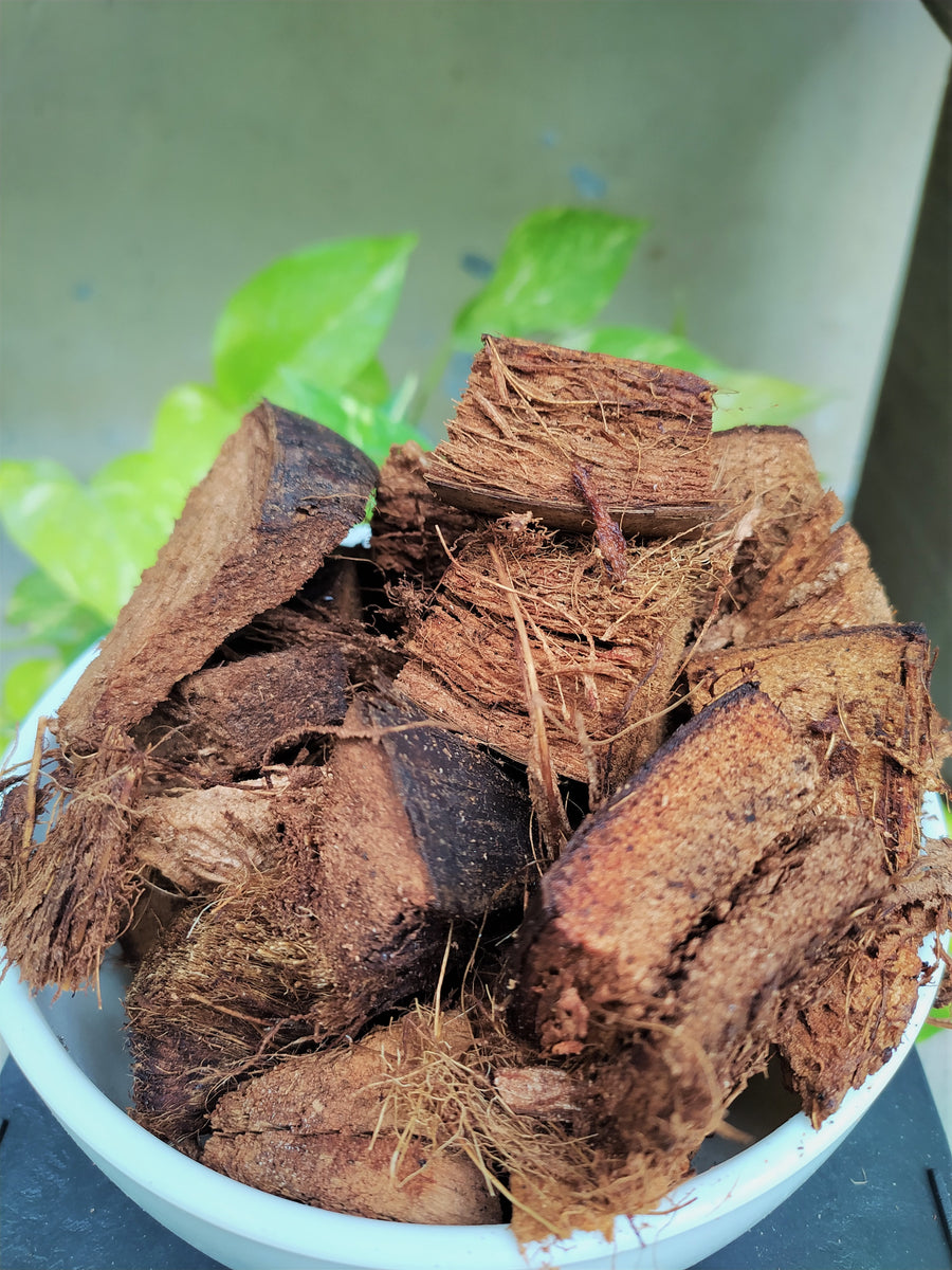 Coco Cubes – Soil Depot